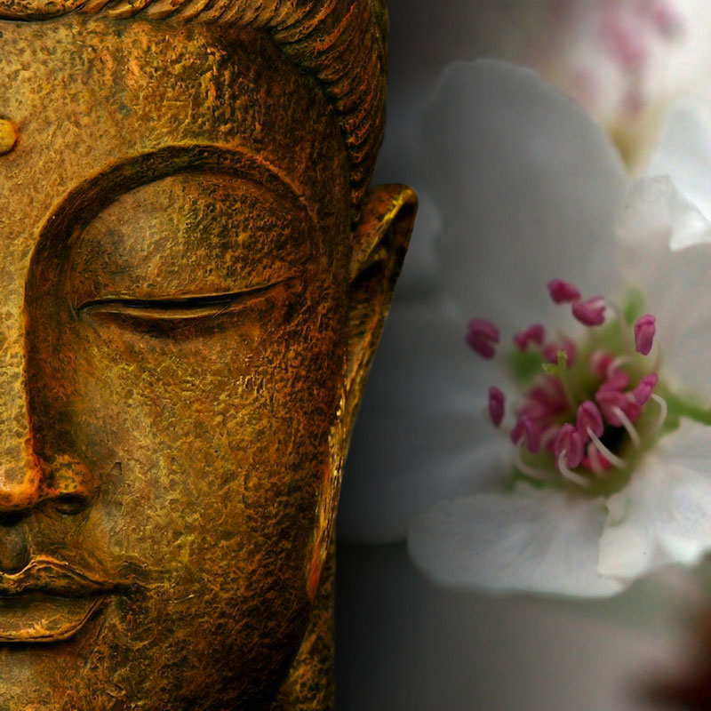 L'approche Tianshi 1 - L'École de Tianshi inc.